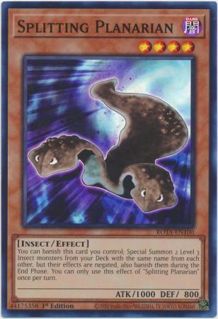 Splitting Planarian - ROTA-EN100 - Super Rare - 1st Edition – Face to Face Games