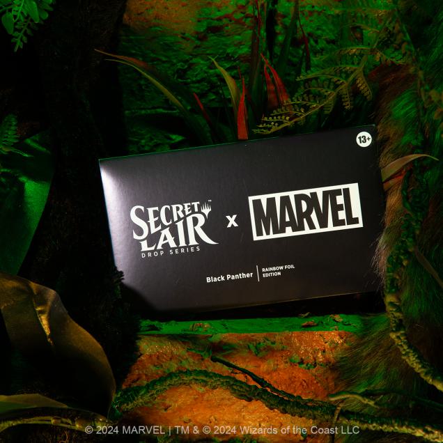 Secret Lair Drop Series - Secret Lair x Marvel's Black Panther - Foil ...